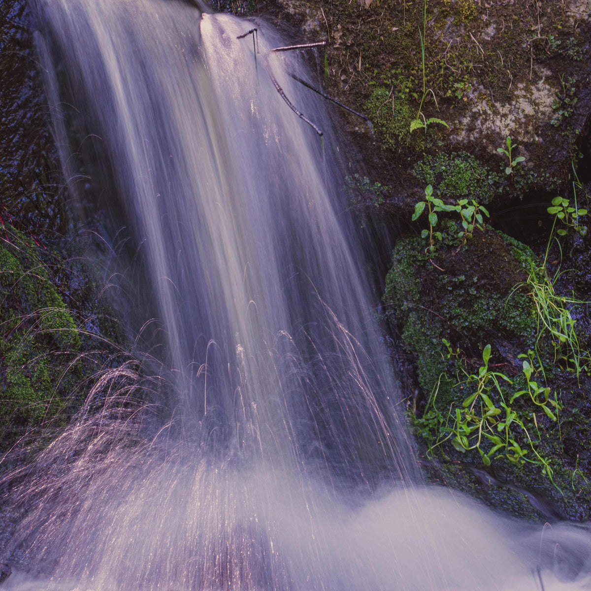 Why Is Filtered Water Important? | Upgrades to Your Fav Natural Deodor ...