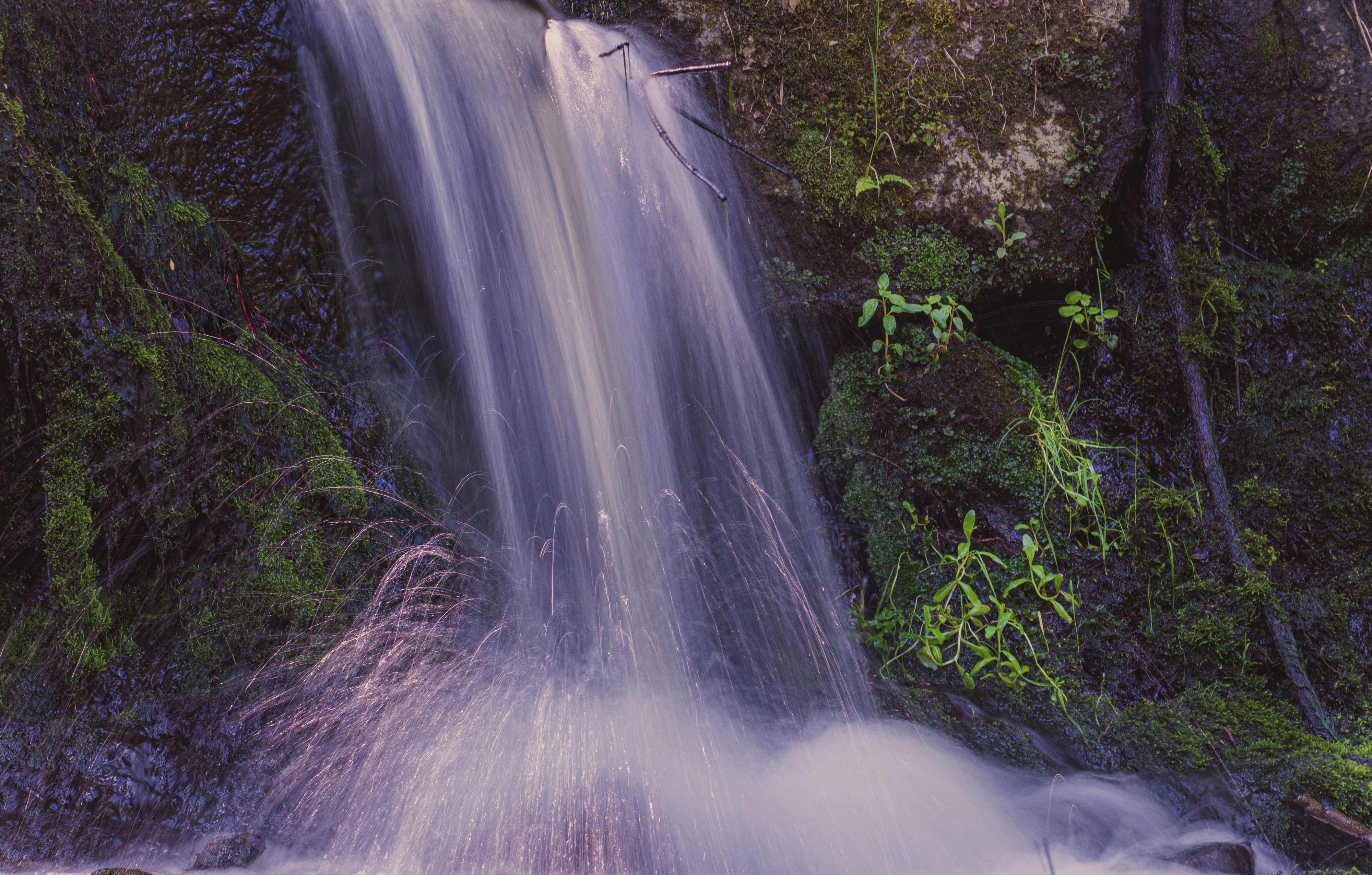 Why Is Filtered Water Important? | Upgrades to Your Fav Natural Deodor ...