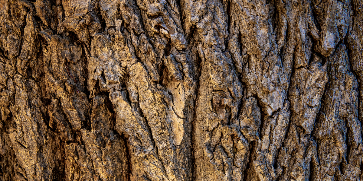 Black Pepper + Clove Deodorant – Pit Liquor